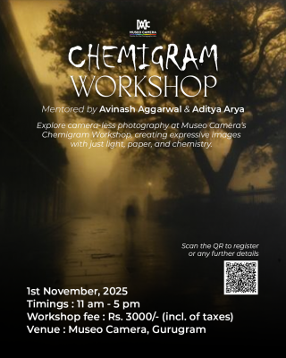 Beyond the Lens: Exploring Chemigrams